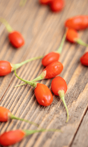 Goji Berry: How to Grow 3 Types, Prune & Trellis, Zones, Benefits...